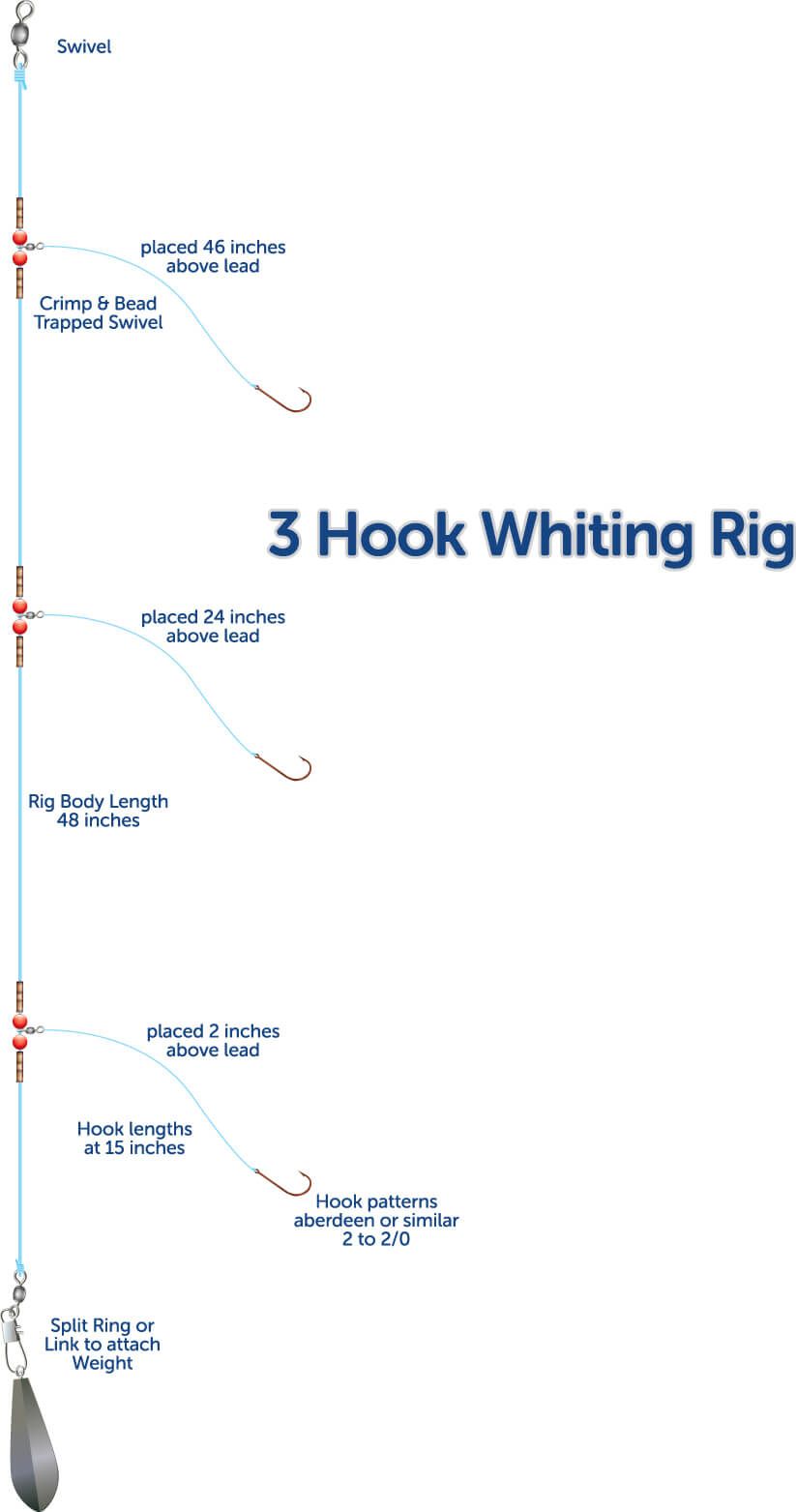 Three hook paternoster rig - Talk Sea Fishing
