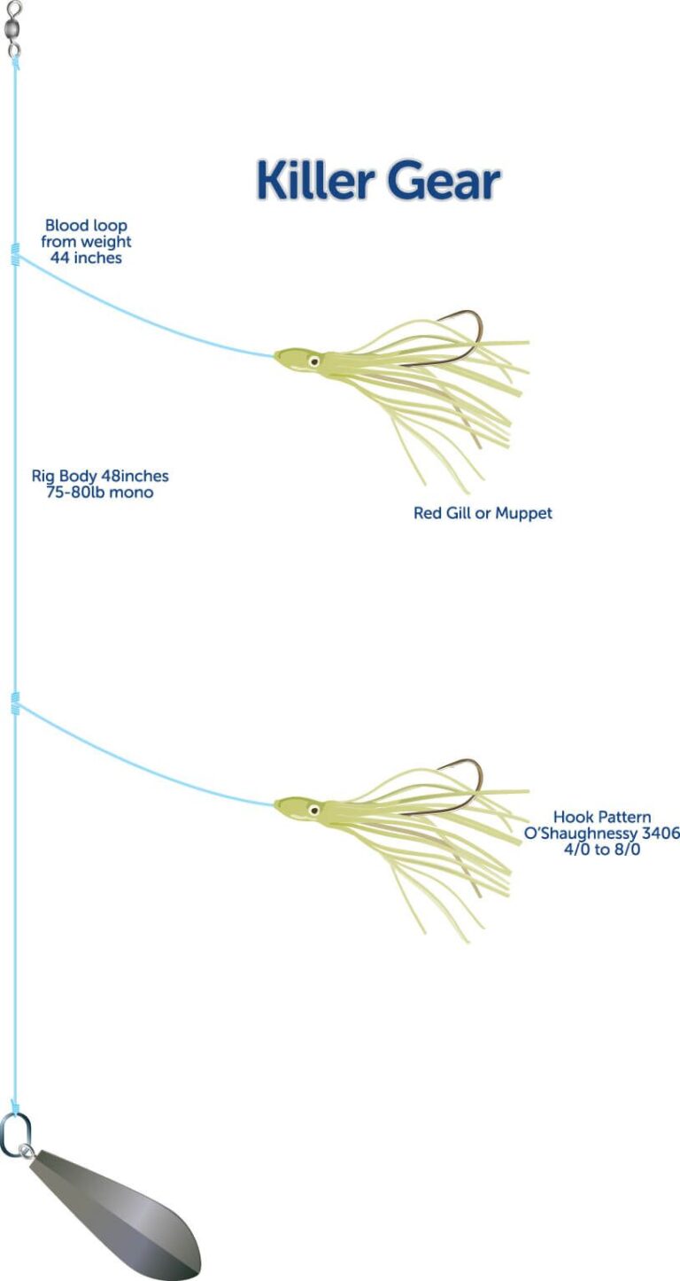 How to catch pollack - Talk Sea Fishing