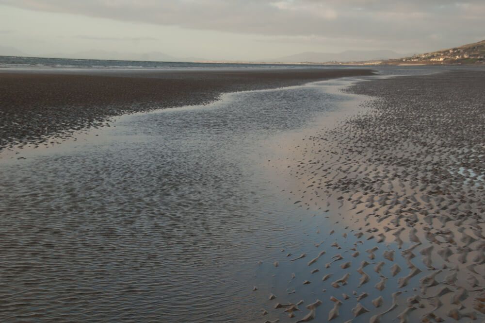 Razorfish baits - Talk Sea Fishing