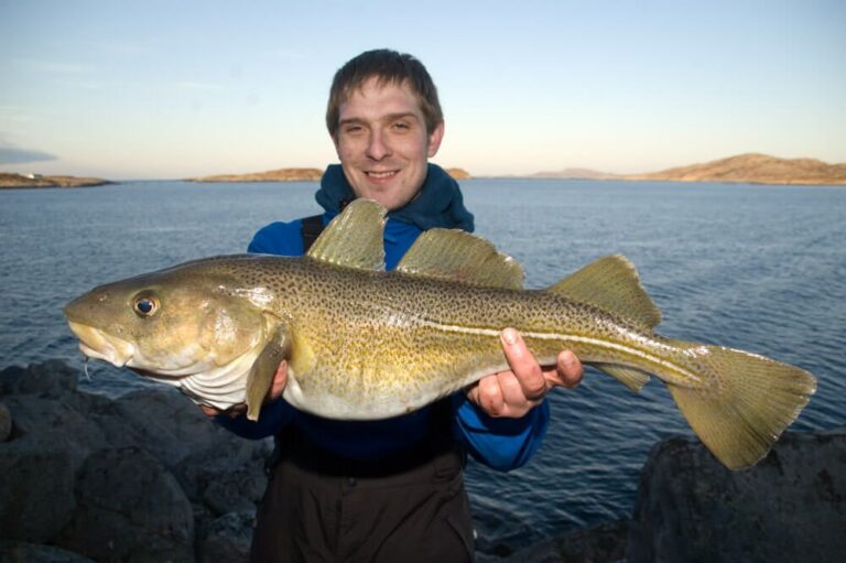 Cod Fishing - How to Catch Cod | Talk Sea Fishing