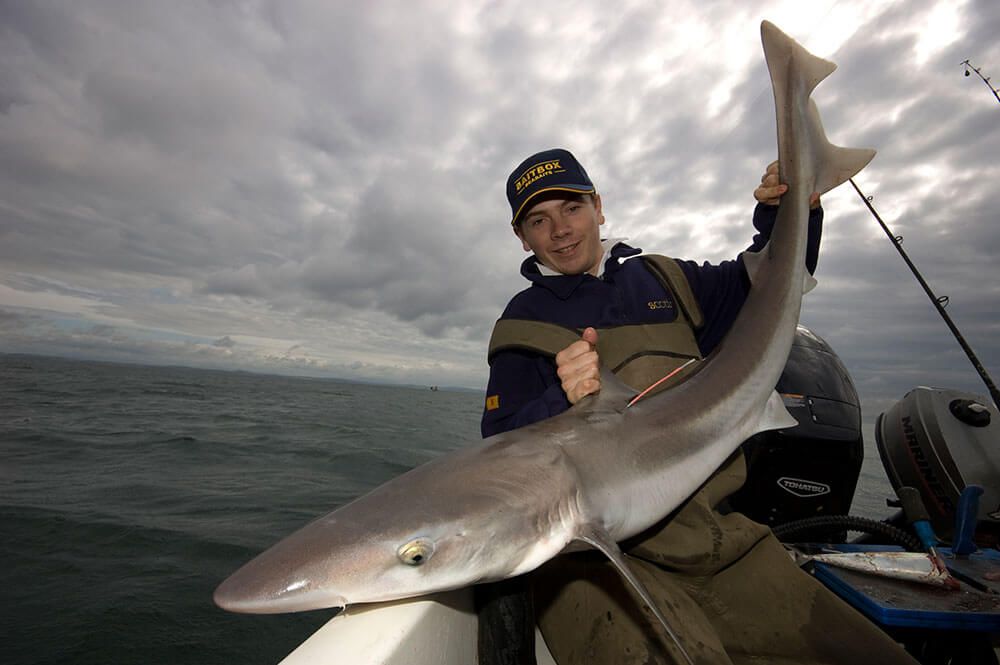 Boat fishing for tope - Talk Sea Fishing