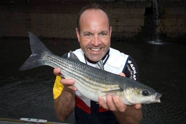 How to catch mullet - Talk Sea Fishing