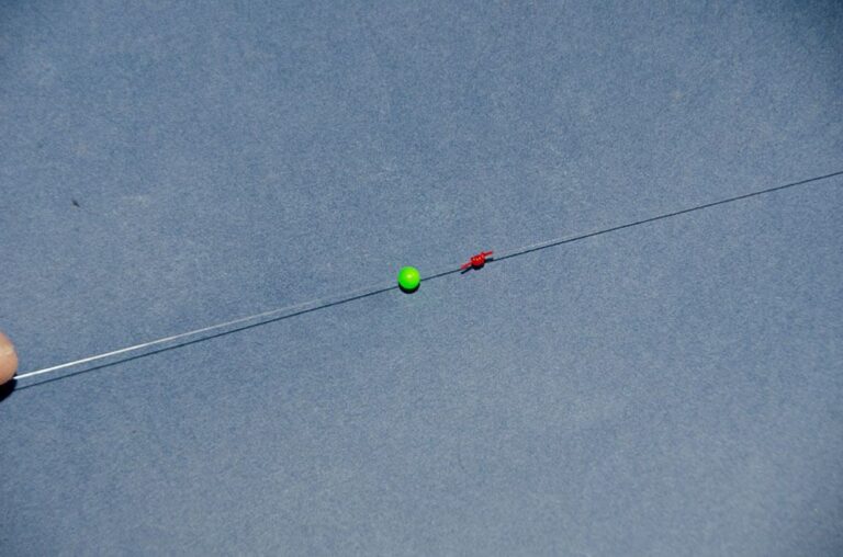 How to catch triggerfish - Talk Sea Fishing