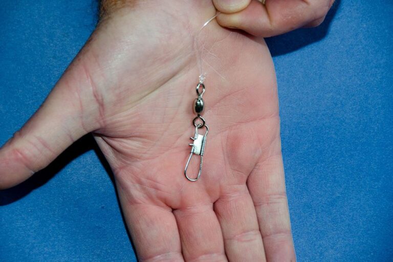 Bass Fishing | How to Catch Bass | Talk Sea Fishing