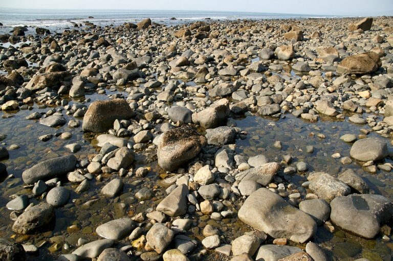 Cod Fishing - How to Catch Cod | Talk Sea Fishing