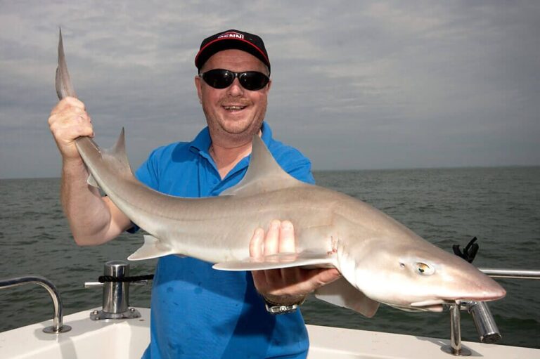 Smoothhound Fishing | How to catch smoothhound | Talk Sea Fishing