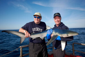 Blue Shark Fishing: How to catch blue shark | Talk Sea Fishing