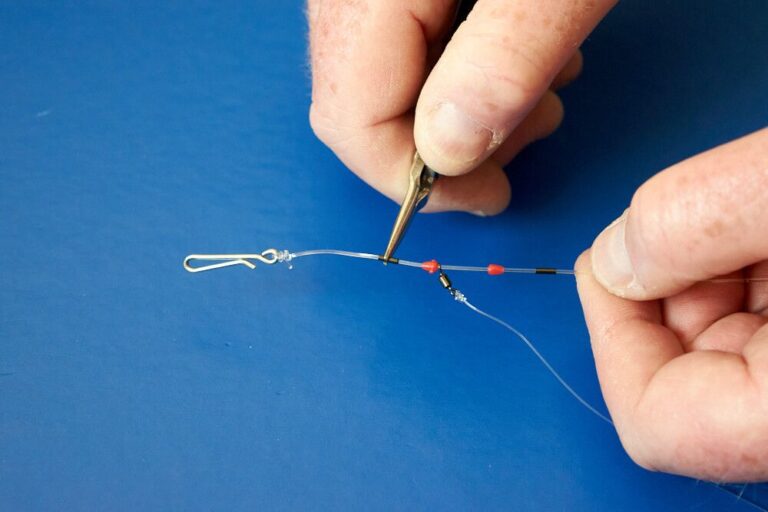 How to catch triggerfish - Talk Sea Fishing