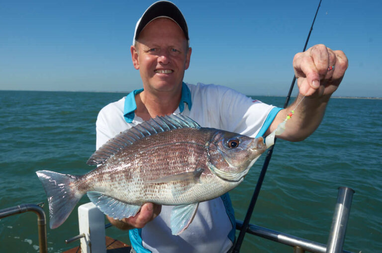 How to catch black bream - Talk Sea Fishing
