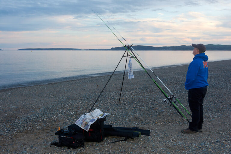 How to catch black bream - Talk Sea Fishing
