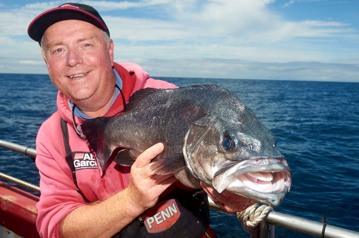 How to catch stone basse - Talk Sea Fishing