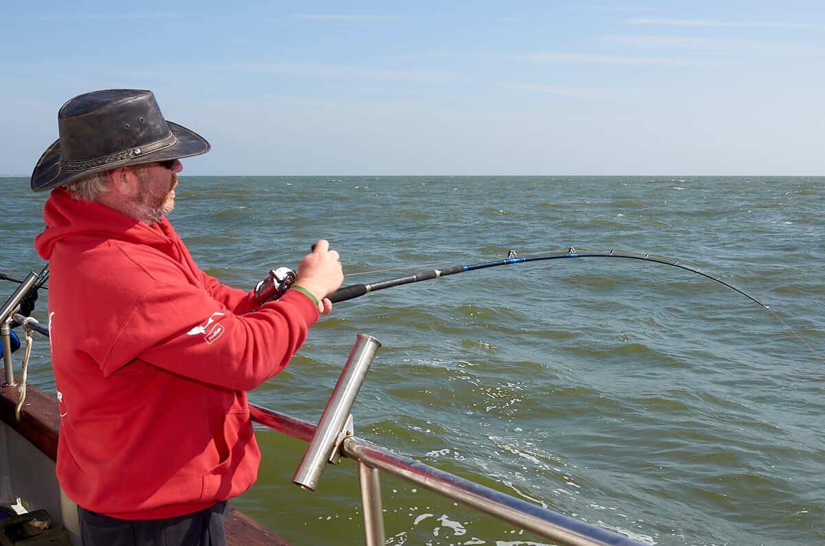 How to catch undulate ray - Talk Sea Fishing