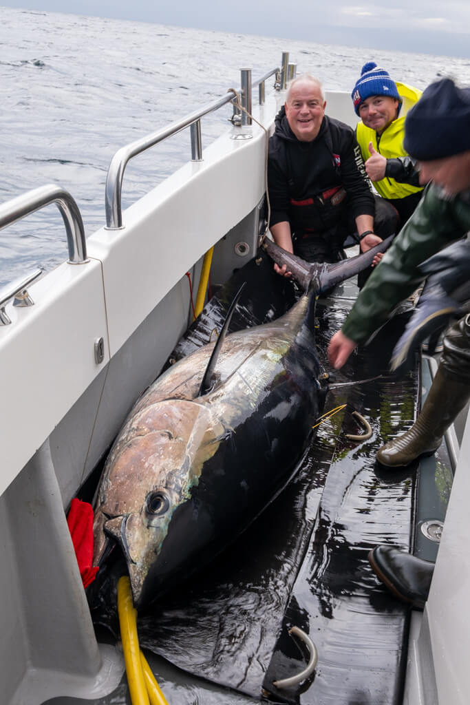 Bluefin Tuna Fishing – In Search of Ocean Giants - Talk Sea Fishing ...